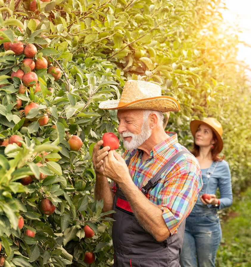 Fall into Mindfulness: 7 Activities to Cultivate Gratitude and Presence ...